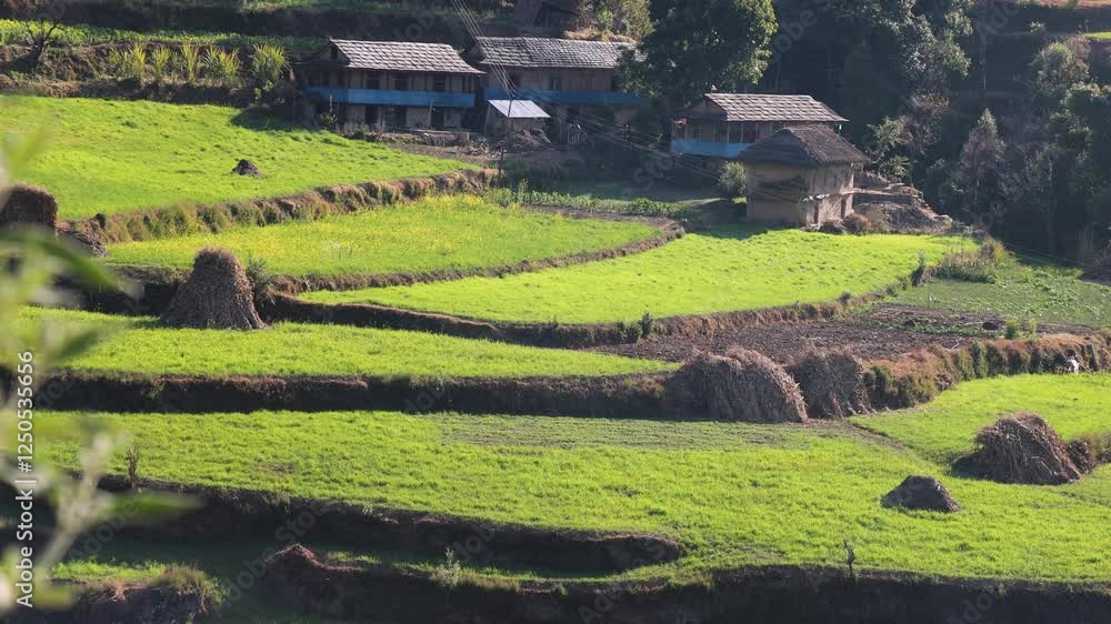 Rural landscape in the village of Nepal.Beautiful Village in Nepal 4k ...