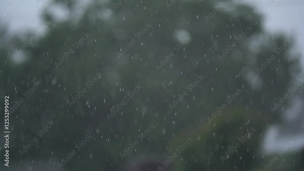 4k Loop Rain Drops Falling Alpha, Real Rain, High quality, Slow Rain ...