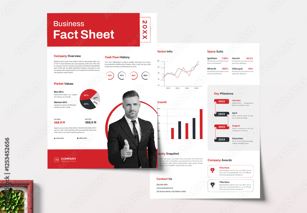 Modern Company Fact Sheet Layout Stock Template | Adobe Stock
