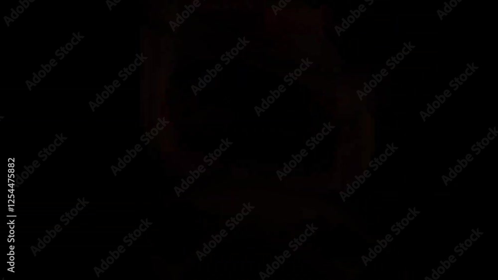 The video effect transition sequences were seamless, with light ...