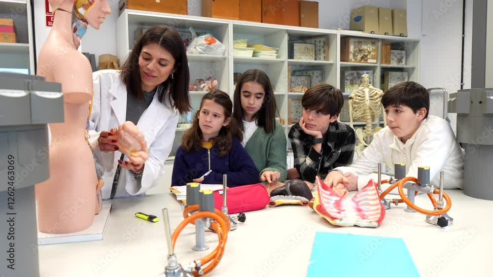 Biology educator carefully explaining human organ structures to ...
