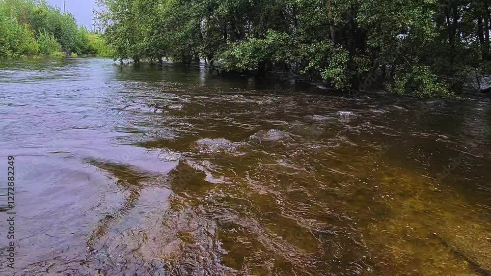 Flood. The overflowing rivers flooded the forests. See how overflowing ...