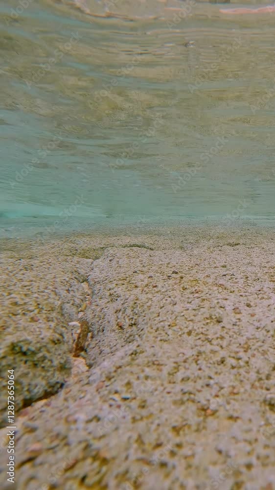 Vertical footage, Coastal fossilized coral slab covered with cracks in ...