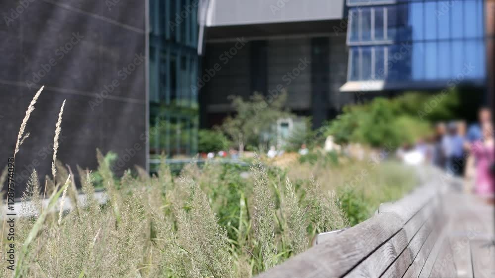 New York City High Line elevated greenway, Manhattan Midtown, USA ...