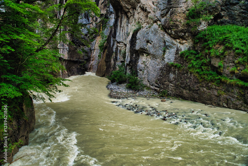 Poster Canyon of the Aar Gorge - Aareschlucht on the Aare River in the ...