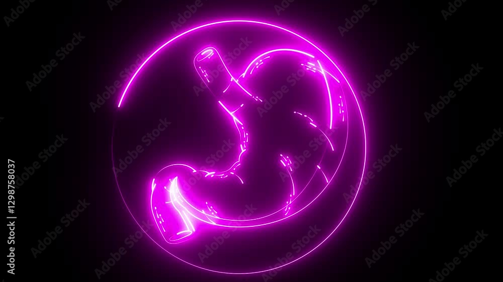 Animation of a human stomach with glowing neon lines. Neon Human ...