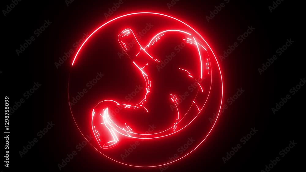 Animation of a human stomach with glowing neon lines. Neon Human ...