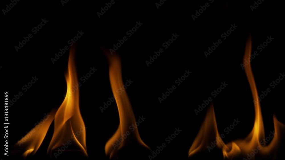 Fire and flame on black png background. Realistic fire isolated ...