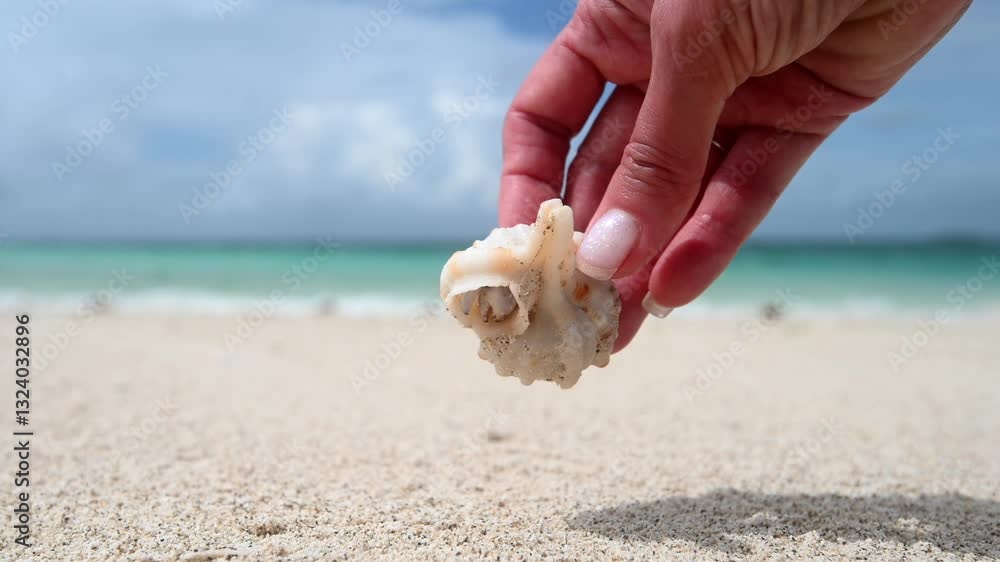 A young woman holds a hermit crab, which is afraid and hiding in its ...