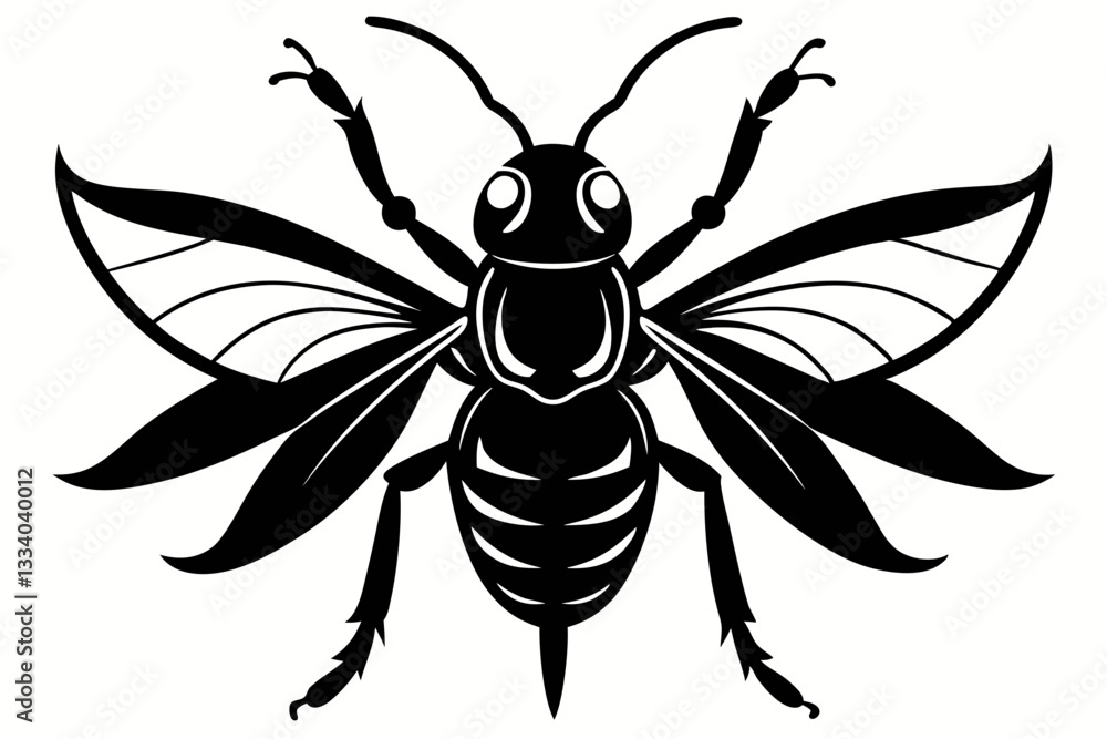 Poster bombardier beetle line art silhouette vector illustration – Wall ...