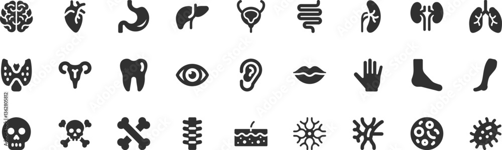 Human organ, anatomy icon set. Vector glyph pictograms of brain, heart ...