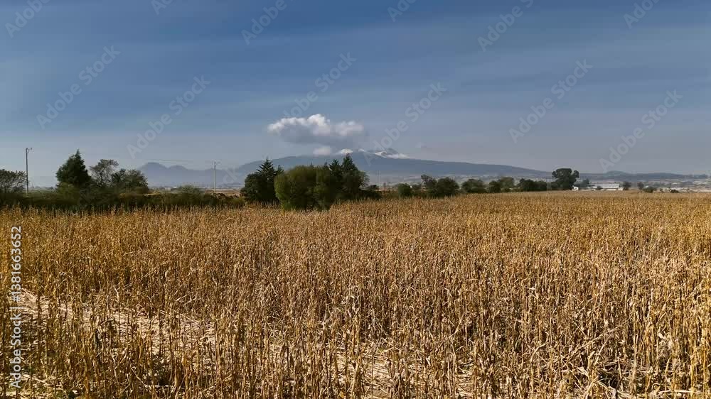 Field with harvested plantation and Nevado de Toluca volcano in the ...