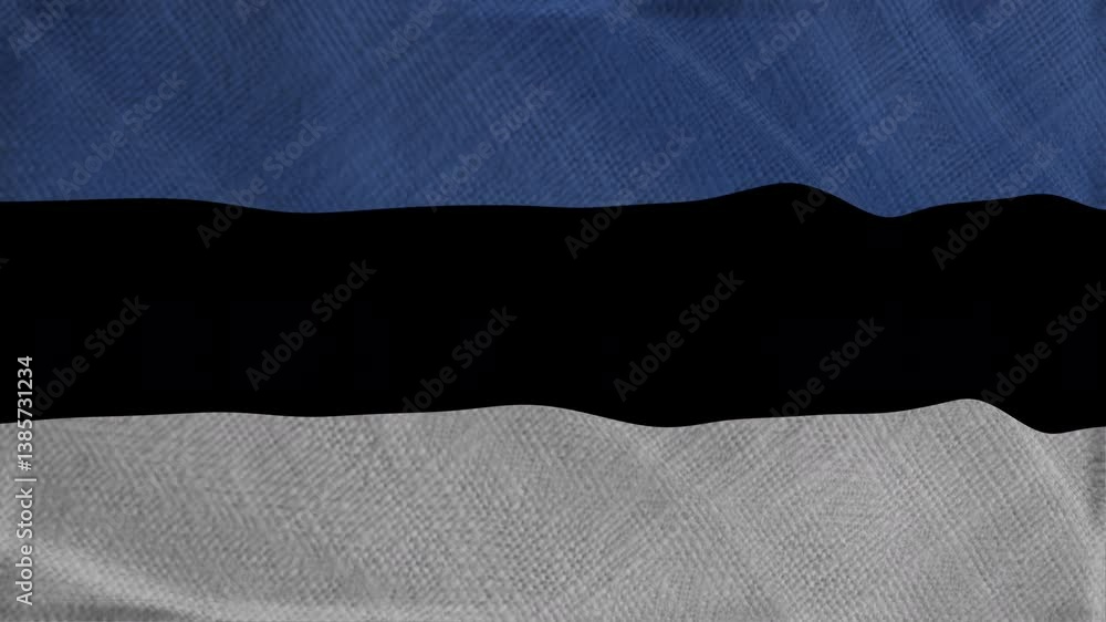 Flag of Estonia, Estonia 3D Animation flag waving in the wind. 4K ...