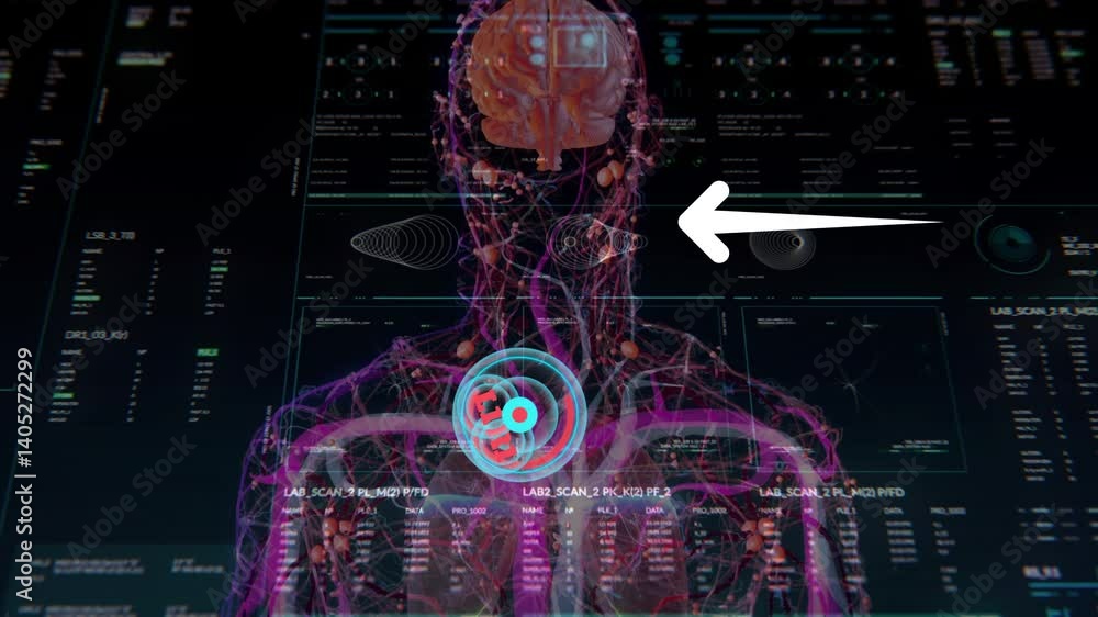 AI - Artificial Intelligence and Whole Body Imaging - VISUAL OF THE ...