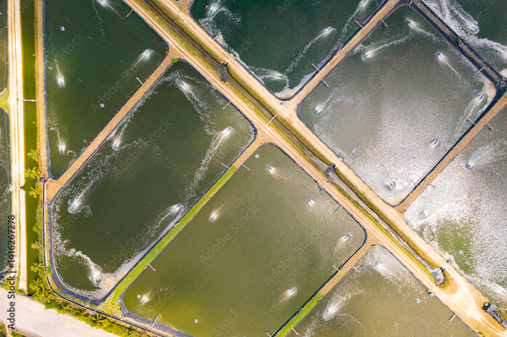 Poster Overhead aerial view of organized fish and shrimp ponds with ...
