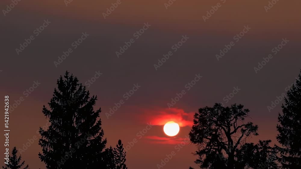 Hazy Sunset Caused by Wildfire Smoke, with the Sun Appearing as a Red ...