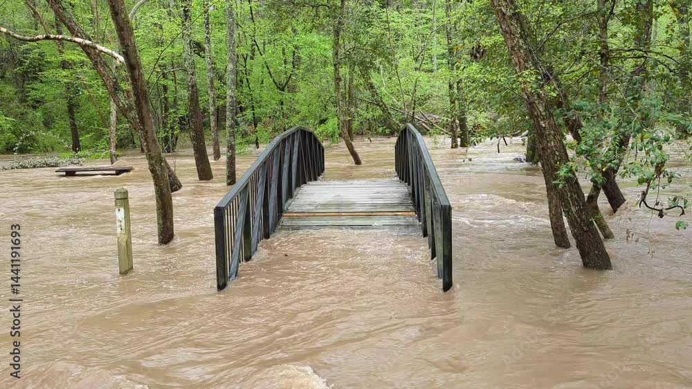 Flooding After Heavy Rains. River Overflow and Park Flooding. Disaster ...