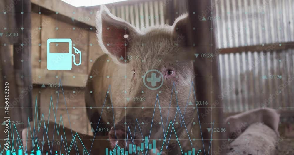 3D render pig head being visualized inside barn, overlaying line graphs ...