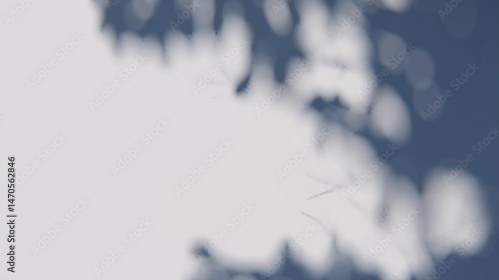 shadow overlay wall texture sunlight leaf shade abstract 3d render ...