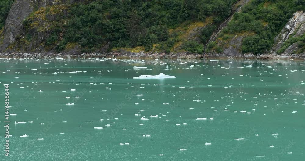 Dawes Glacier, Endicott Arm Fjord, chunks of ice broken off the glacier ...