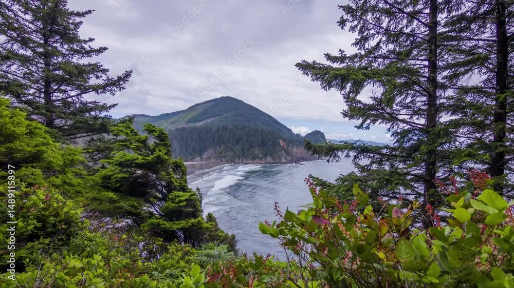 Footage shows a view from Oswald West State Park in Oregon, USA. This ...