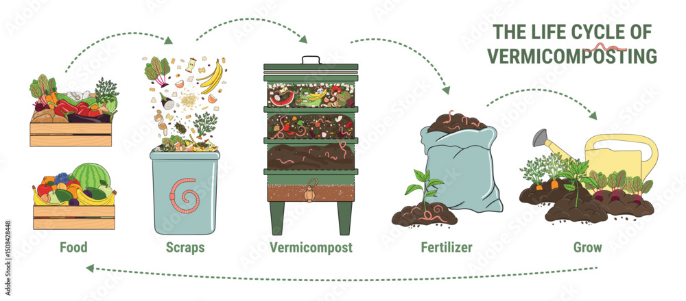 Poster Infographic of vermicomposting – Zidna Slika | Europosteri