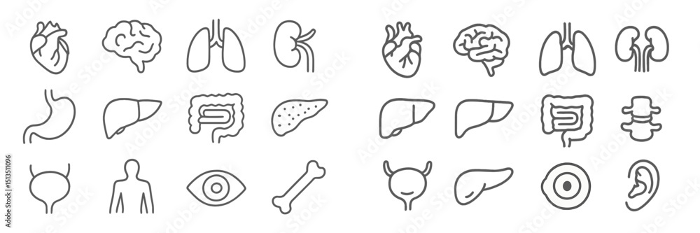 Poster Simple line icons representing human anatomy and organs for ...