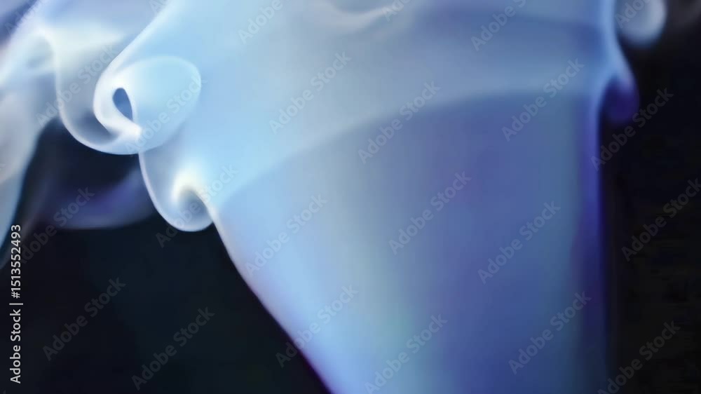 Realistic White Smoke Effect Animation on Transparent Background ...