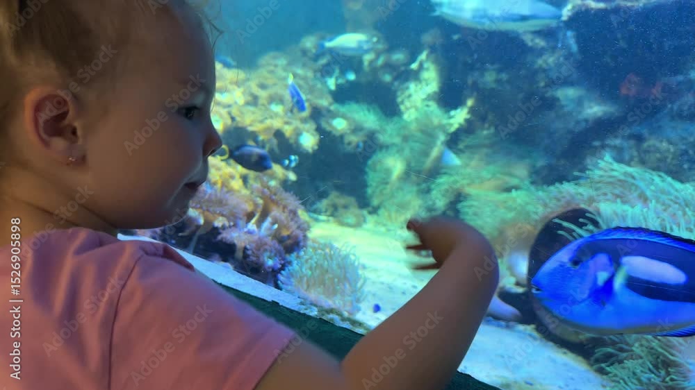 Little girl playing with fish in an aquarium. Blue surgeon fish swims ...