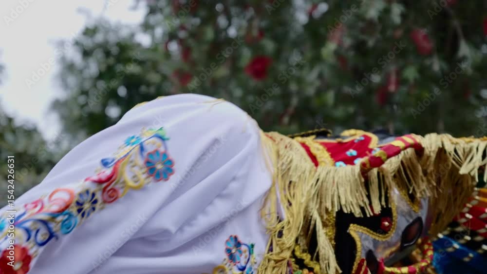 Danza tradicional de la comunidad Cayambe en el norte del ecuador ...