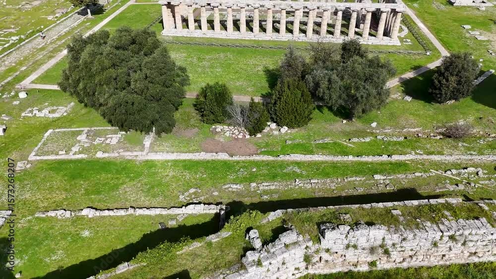 Ancient Greek temple ruins in Paestum, Italy with columns in a grassy ...