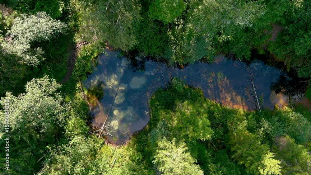 Saula Blue Springs or Saula Siniallikad. Natural and cultural heritage ...