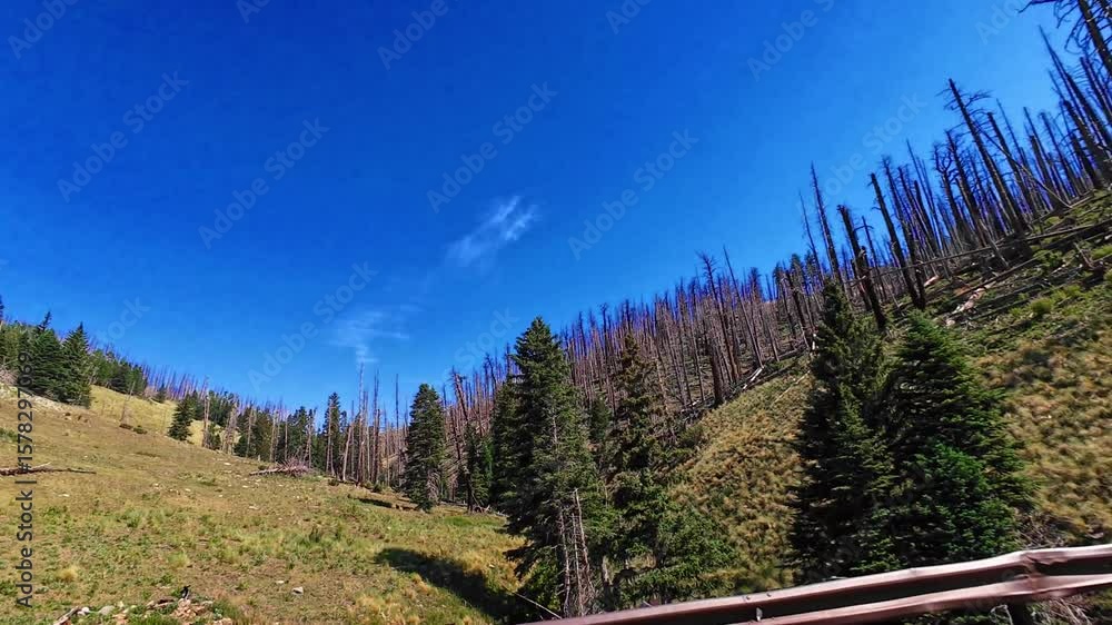 Breathtaking mountain views abound and access to the mountain ...