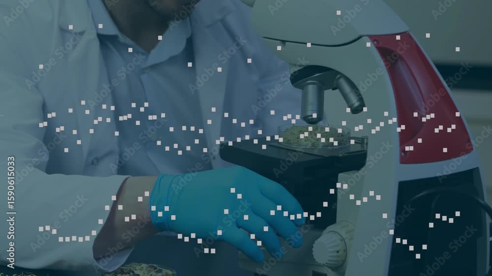Laboratory scientist placing specimen slide on microscope stage and ...