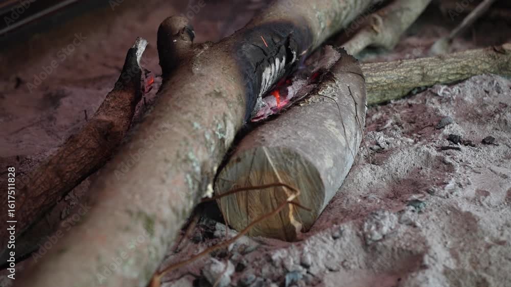 囲炉裏で焚き木を燃やす様子 Stock ビデオ | Adobe Stock