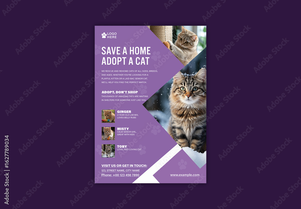 Adopt a Cat Flyer Template with Photos and Contact Info for Animal ...