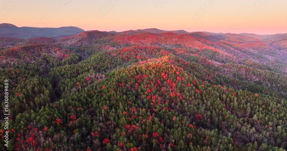 Appalachian mountain landscape with orange and yellow forest trees ...
