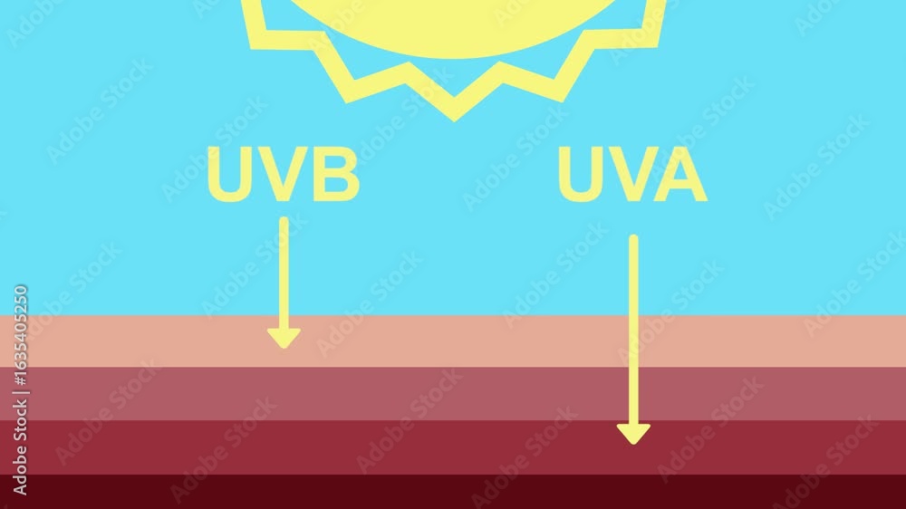 Difference between impact of UVB and UVA sun rays on skin protection in ...