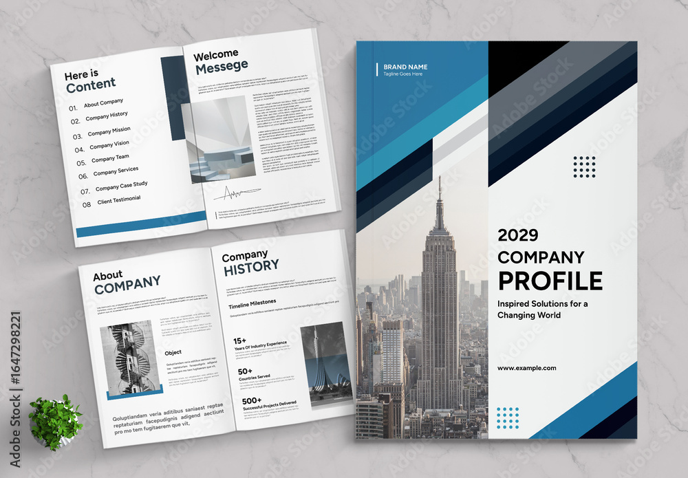 Company Profile Template Design Stock Template | Adobe Stock