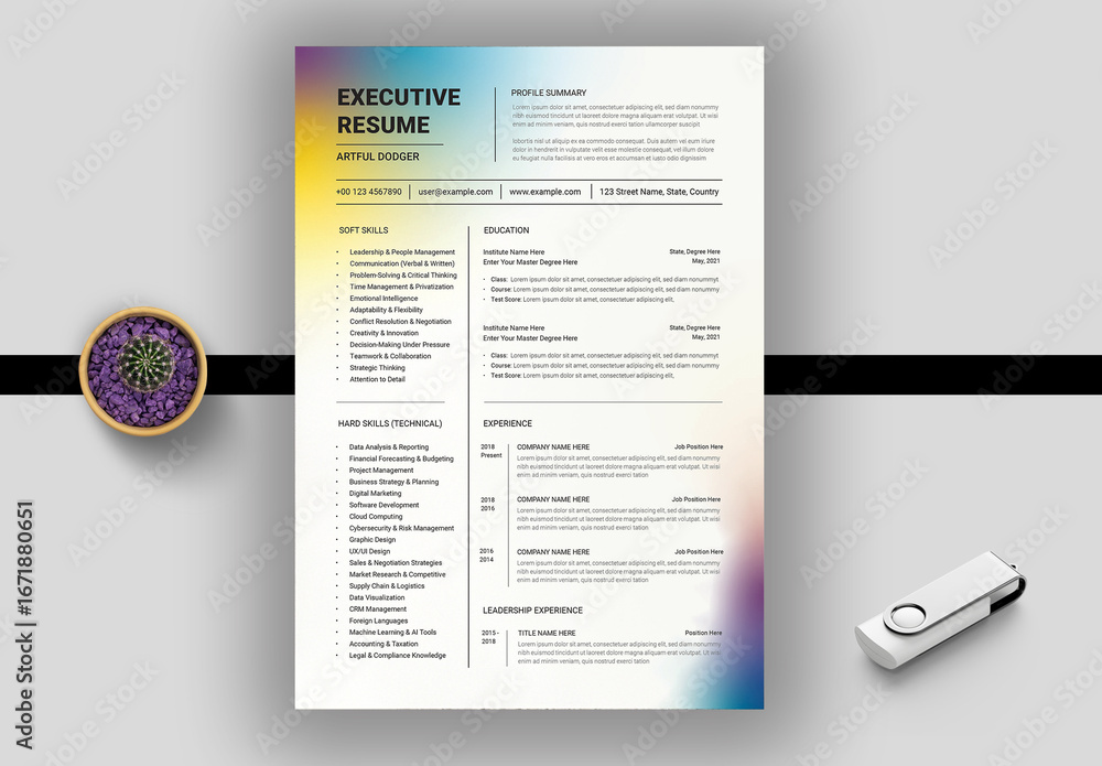 Executive Resume Template Stock Template | Adobe Stock
