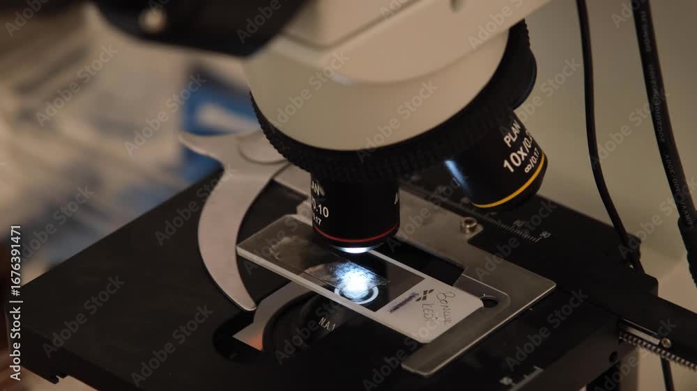 Laboratory technician analyzing samples under microscope. Medical ...