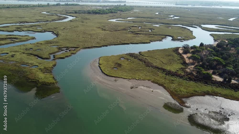 Marismas del Odiel is a marshy area at the mouth of the river Odiel is ...