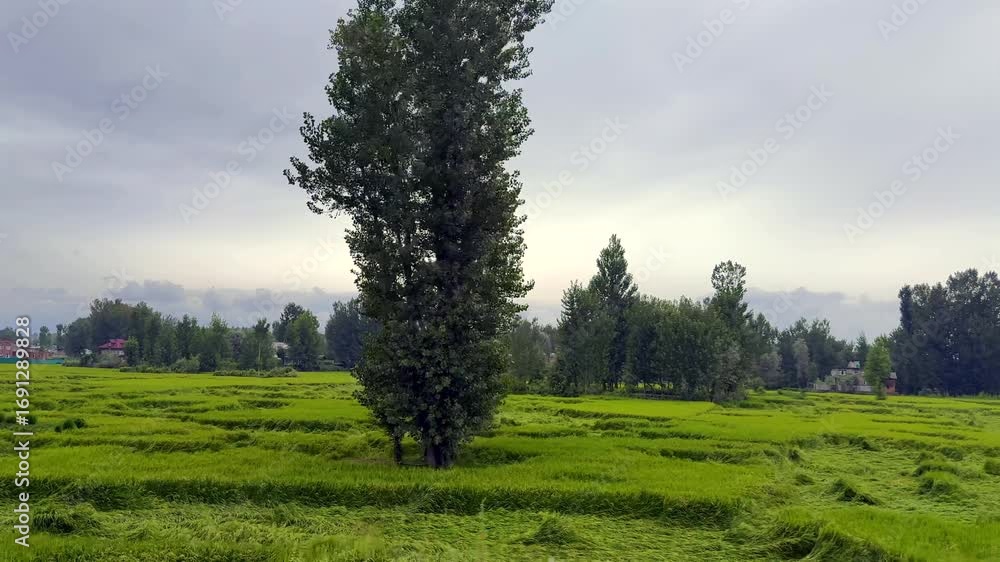 Water Floods in Kashmir India, Jhelum River Overflow, September 2025 ...