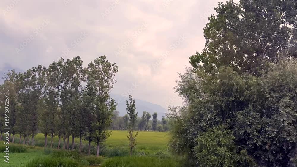 Water Floods in Kashmir India, Jhelum River Overflow, September 2025 ...