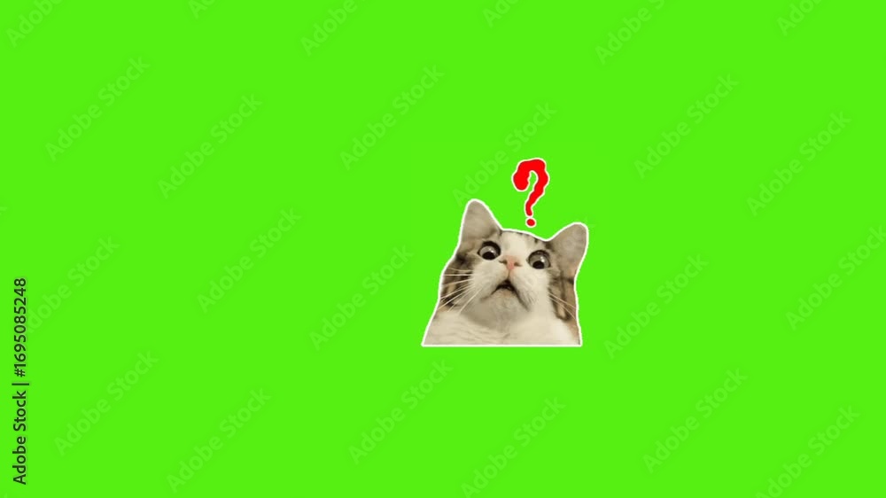 Curious cat with a question mark above its head peeking out and looking ...