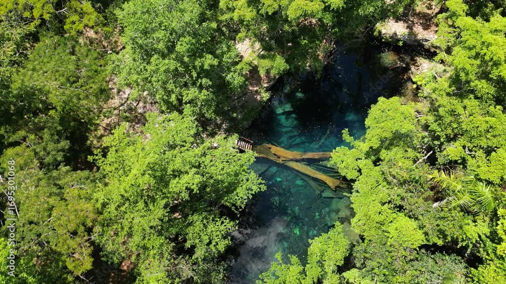 Drone footage of Hoyo Claro lagoon — pristine emerald waters, submerged ...