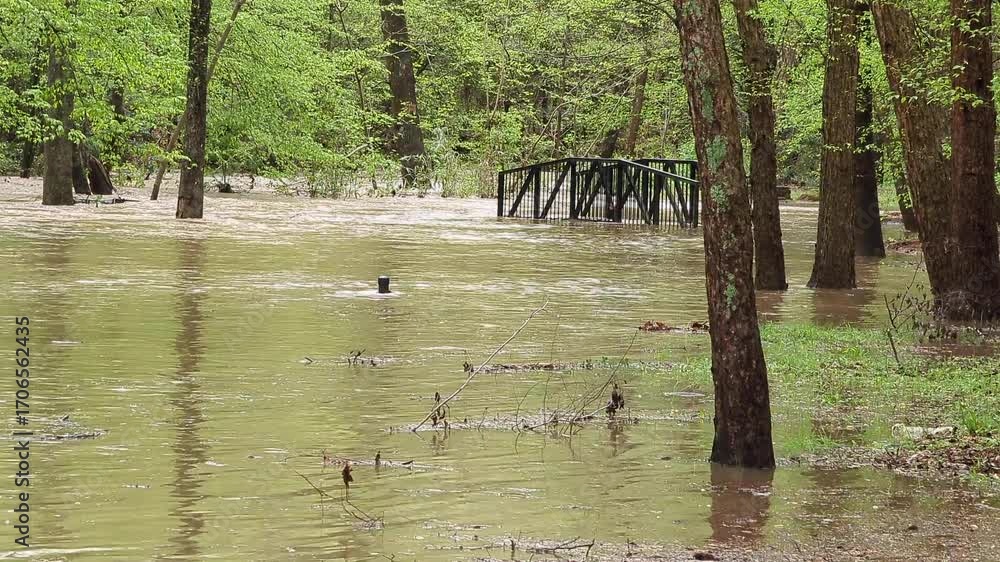 Flooding After Heavy Rains. River Overflow and Park Flooding. Disaster Flood Deluge and Water ...
