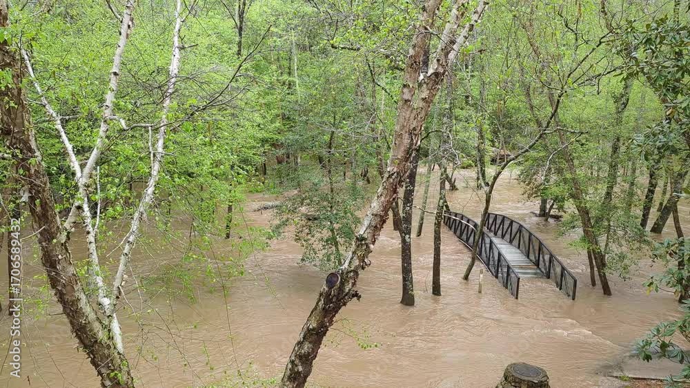 Flooding After Heavy Rains. River Overflow and Park Flooding. Disaster ...