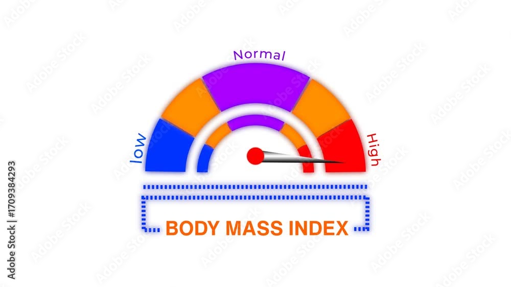 BMI Meter Showing Changes body Weight Animation, Weight Management ...