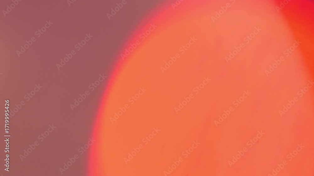Minimal Trans Flare Transition Effect with Clean Light Overlay for ...